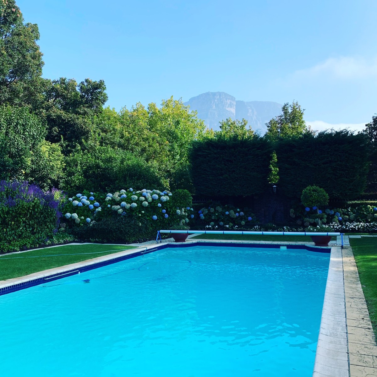 Plagued with Problems – Kitten in the City